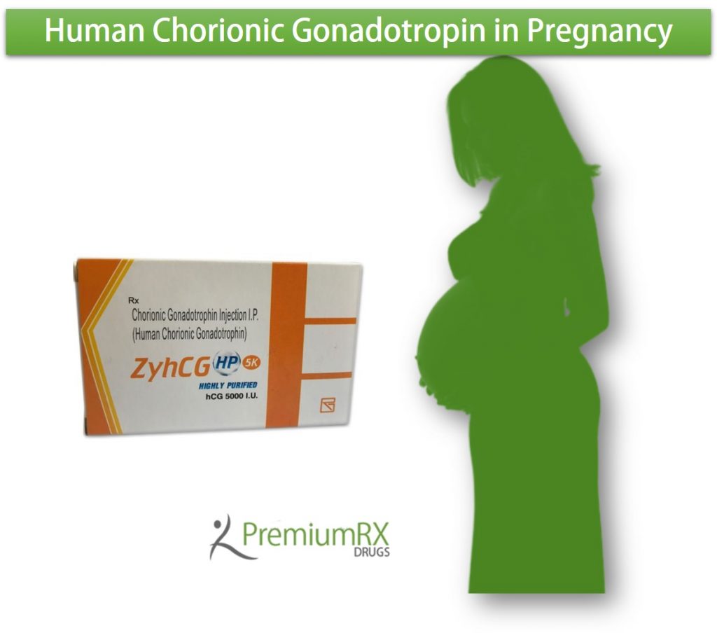 Use of Human Chorionic Gonadotropin in Pregnancy | PremiumRxdrugs ...