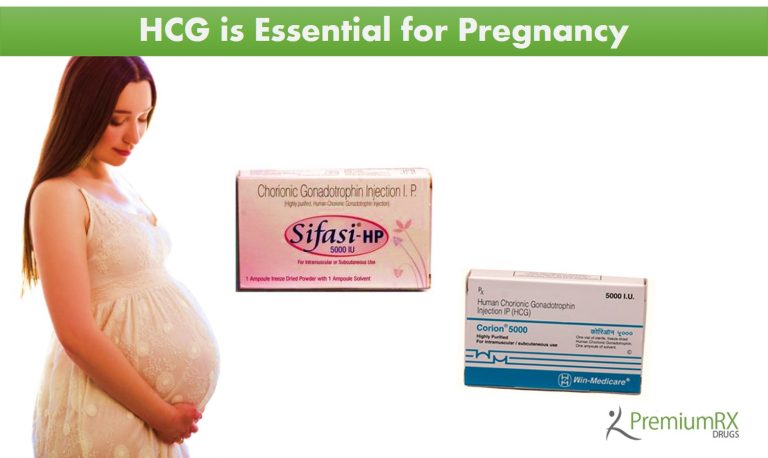 A Guide to HCG Levels and is Importance in Pregnancy | PremiumRxdrugs ...