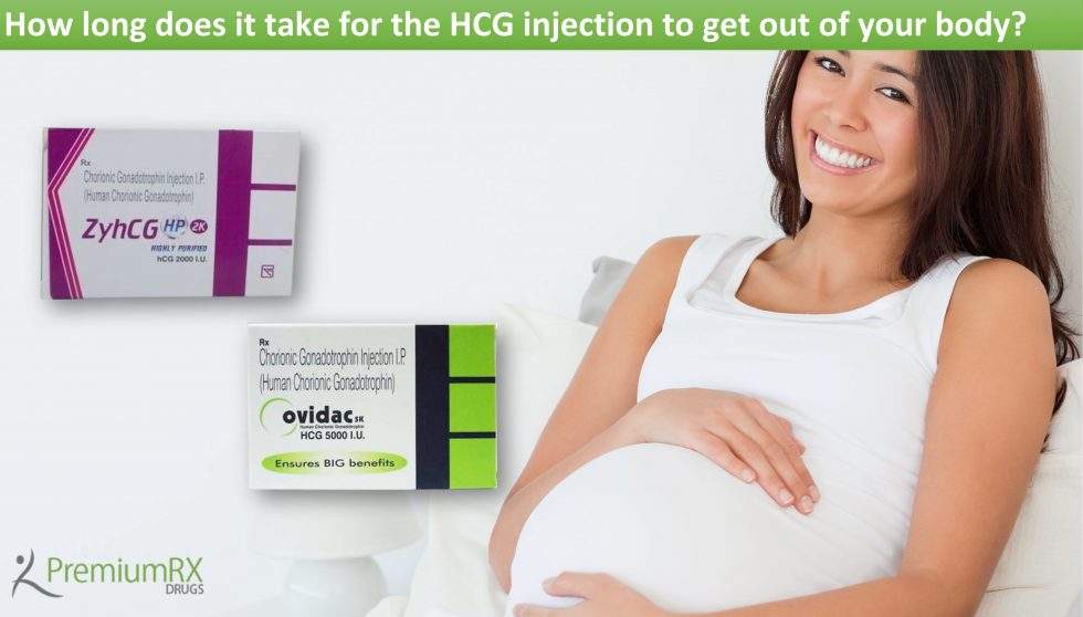How Long Does It Take For The HCG Injection To Get Out Of Your Body how-long-does-it-take-for-the-hcg-injection-to-get-out-of-your-body